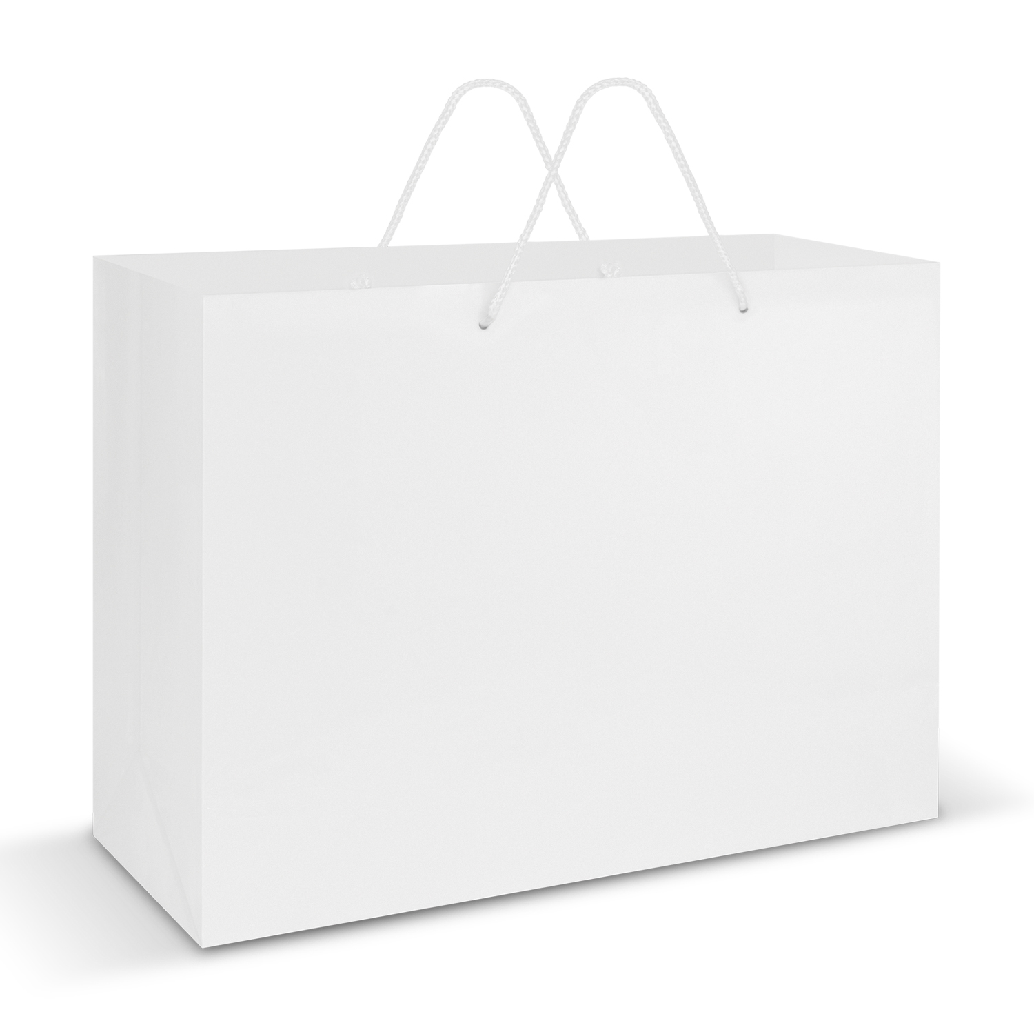 TRENDS | Laminated Carry Bag - Extra Large