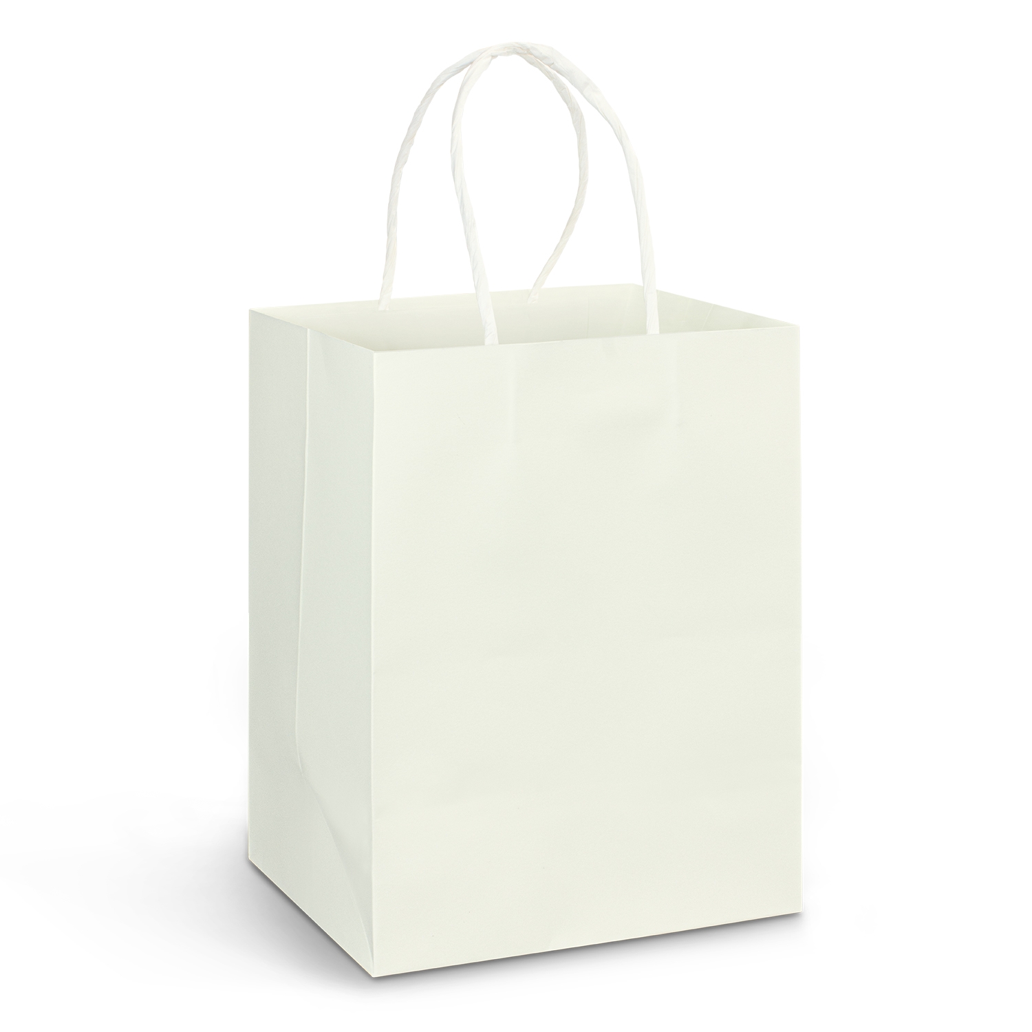 TRENDS | Large Paper Carry Bag - Full Colour