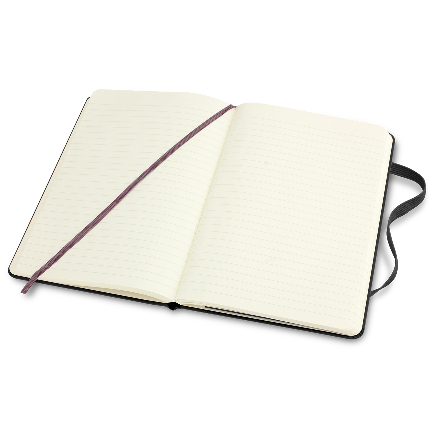 TRENDS | Moleskine Classic Hard Cover Notebook - Large
