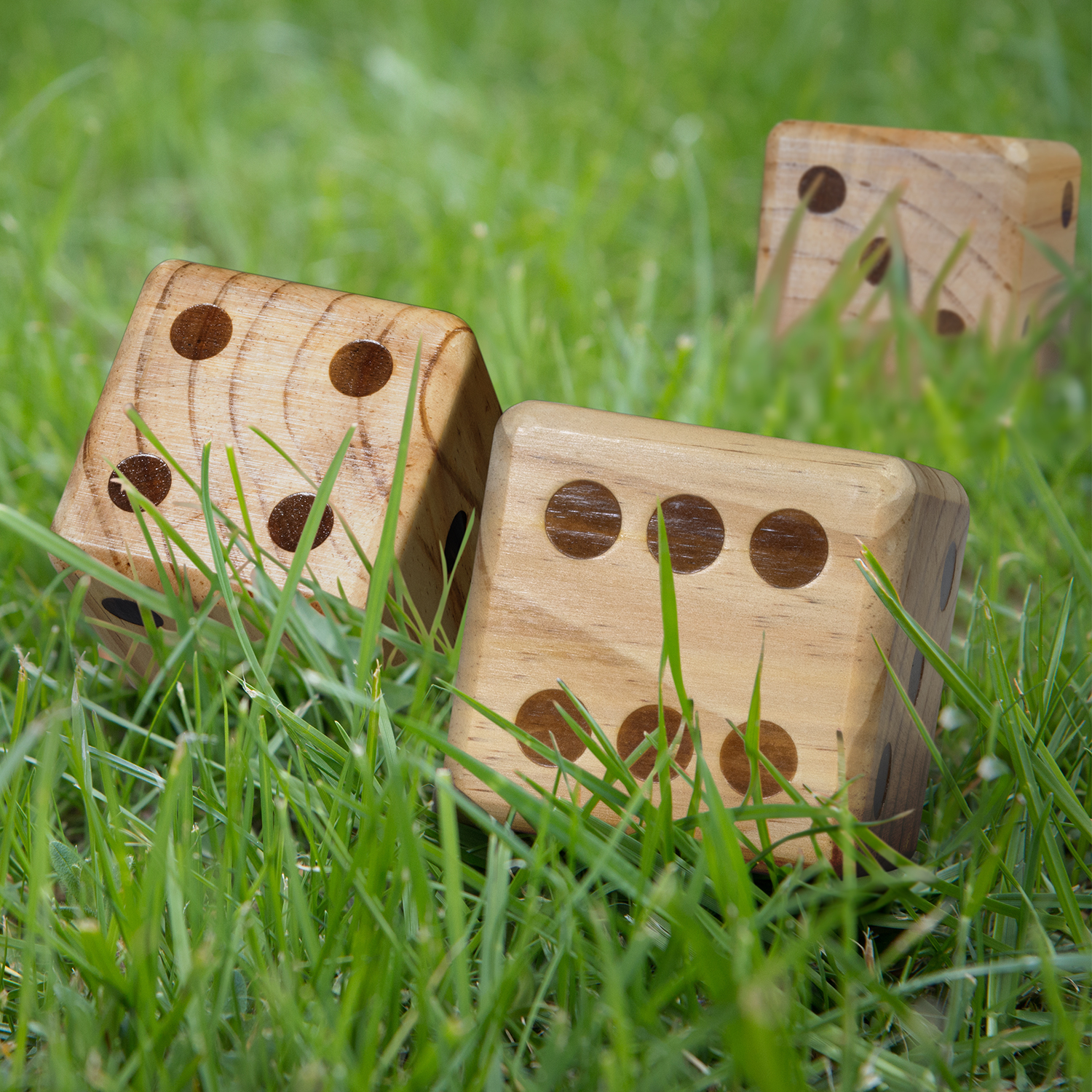 TRENDS | Wooden Yard Dice Game