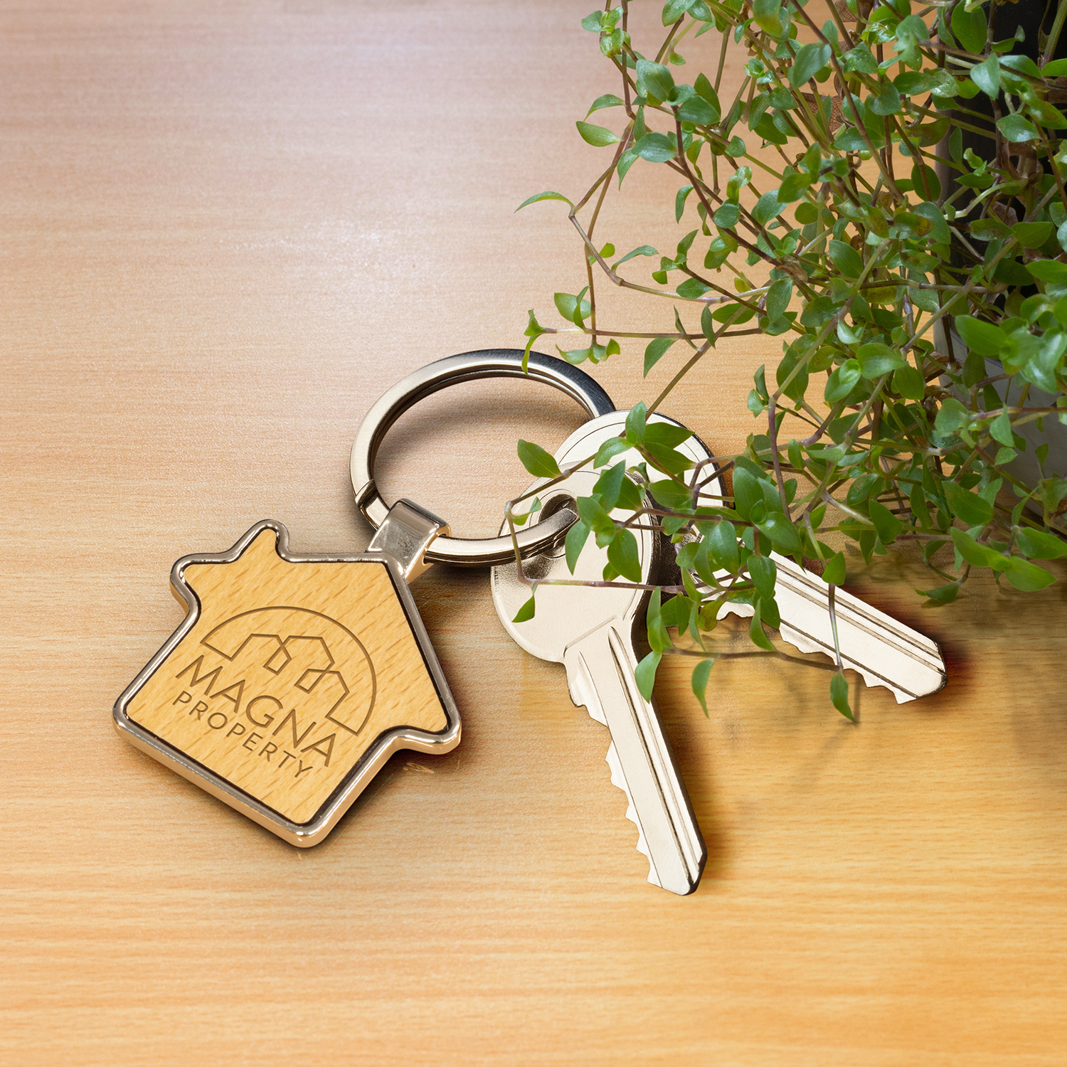 TRENDS | Santo House Shaped Key Ring
