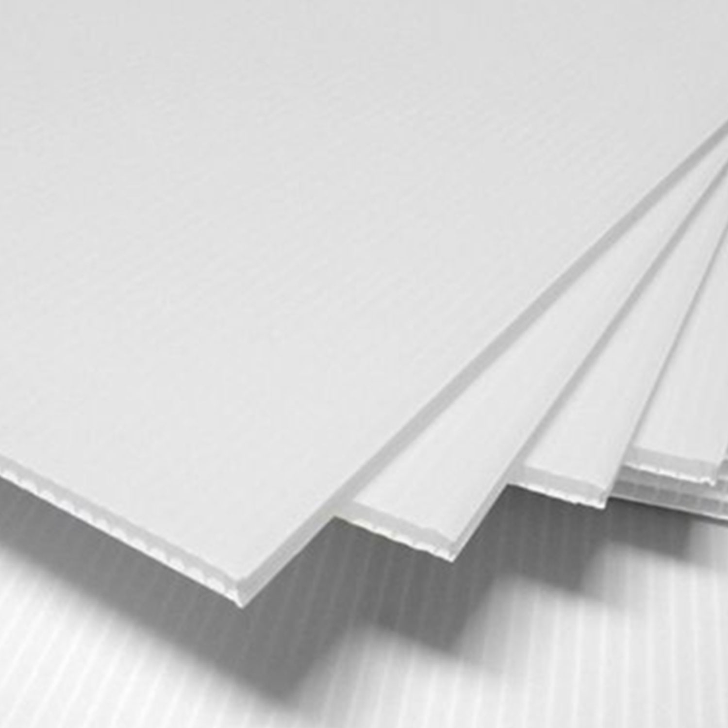 TRENDS | 600 W x 450 H Core Flute