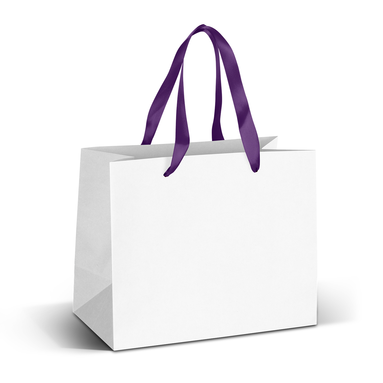TRENDS | Medium Ribbon Handle Paper Bag - Full Colour