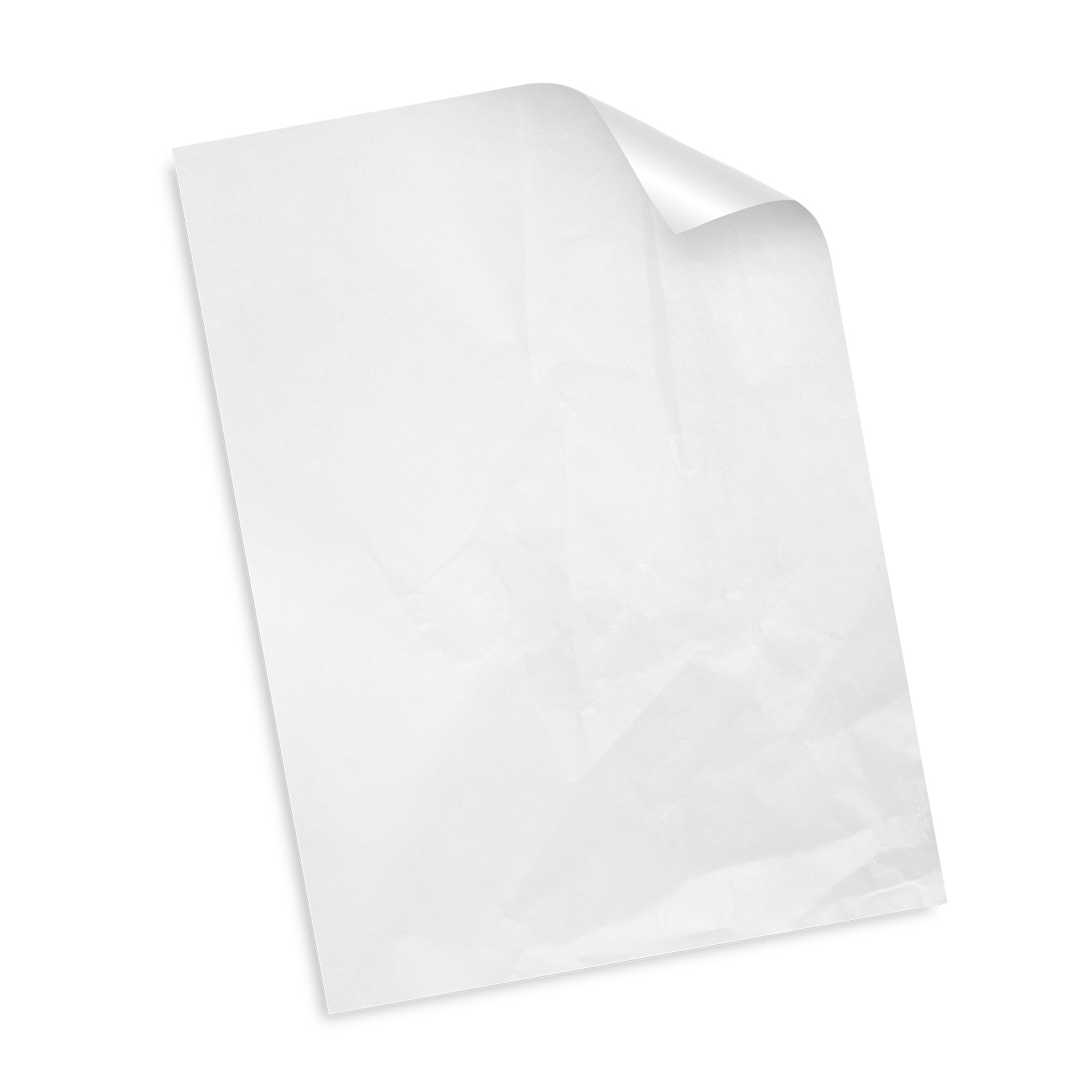 TRENDS | Custom Tissue Paper - White
