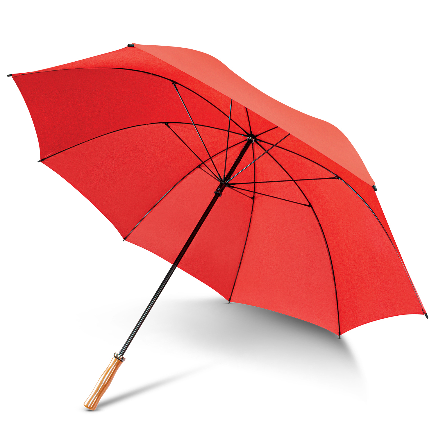 TRENDS | Pro Umbrella